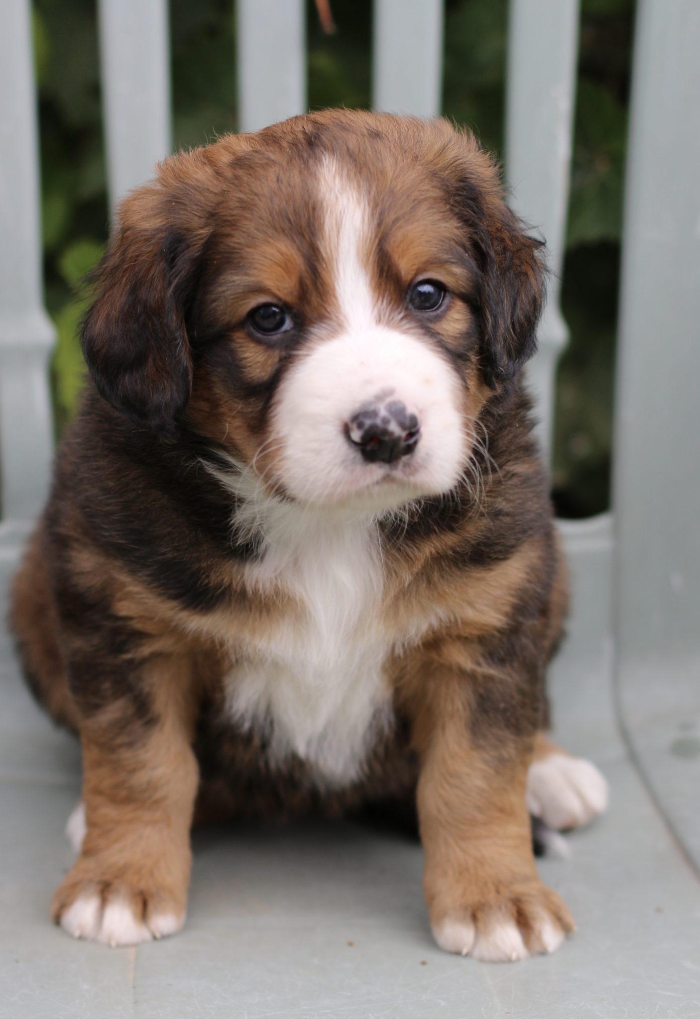 Leben! Archive - SwissydogSwissydog